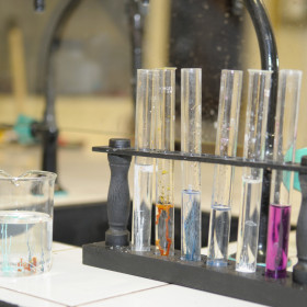 Sciences du Vivant (Sciences de la vie et Sciences de la terre et de l ...